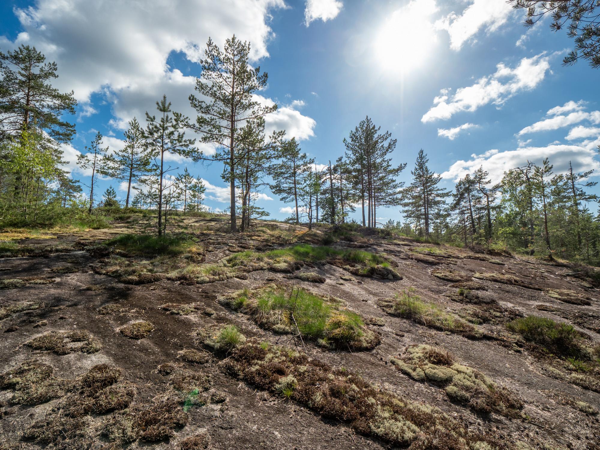 Valtavan monipuoliset jäsenedut - ammattiliitto JHL
