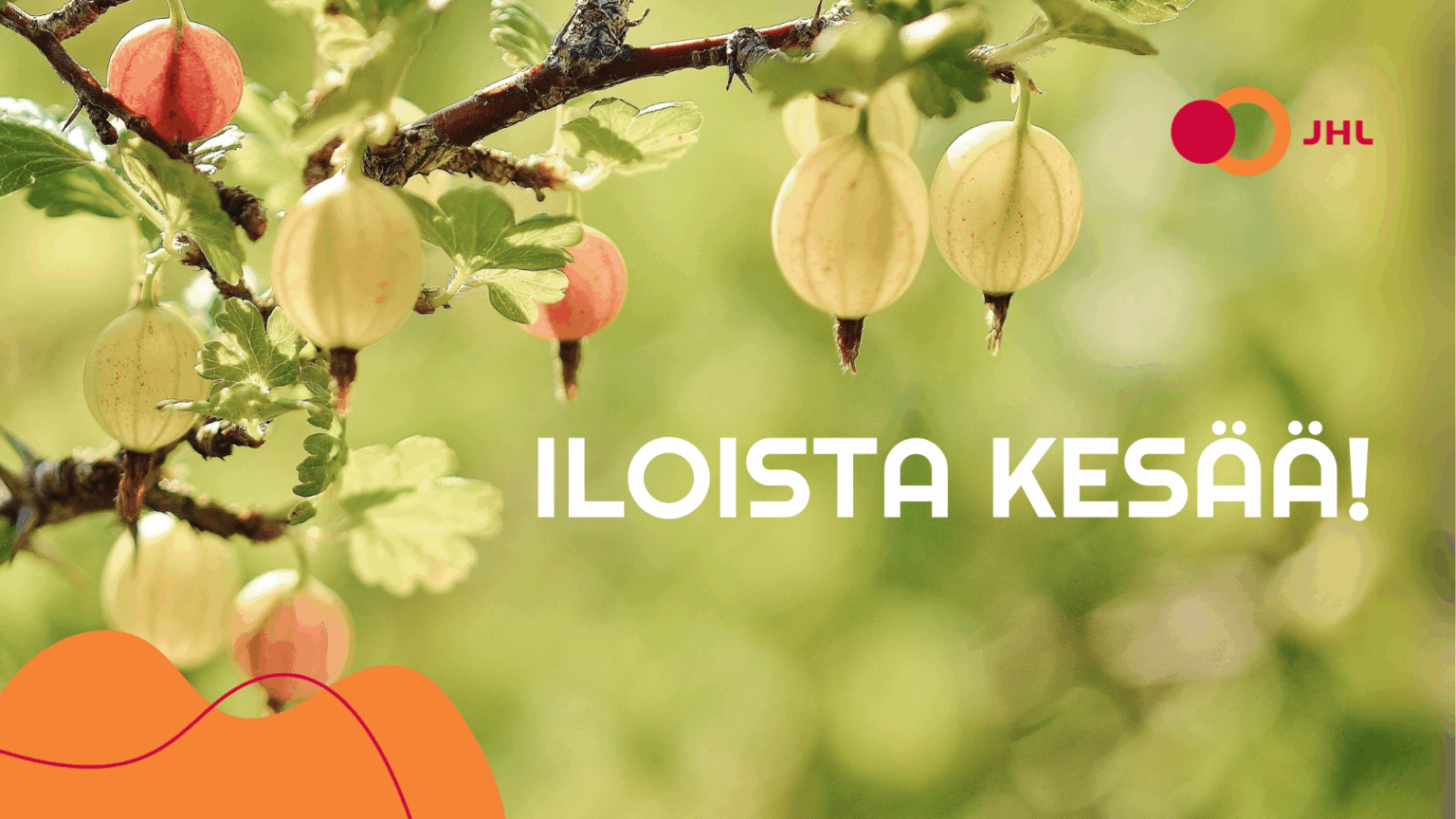 JHL palvelee ammattiliittoasioissa koko kesän - Ammattiliitto JHL